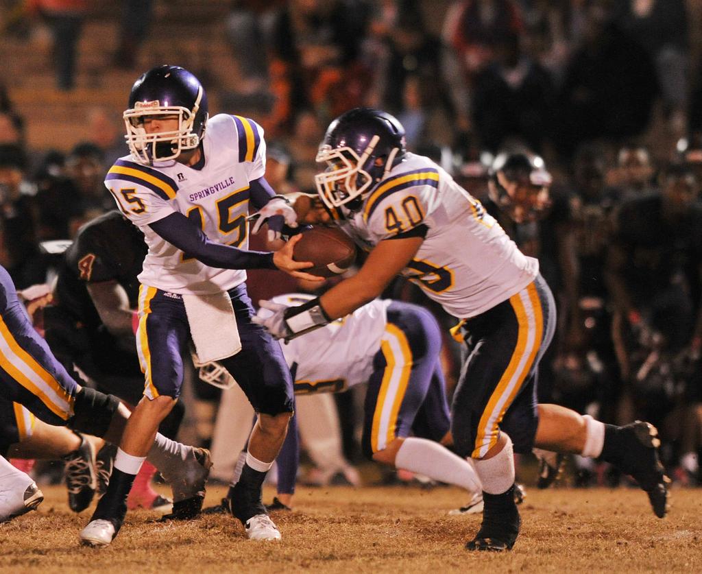 Springville approves former defensive coordinator Steve Davis as its ...